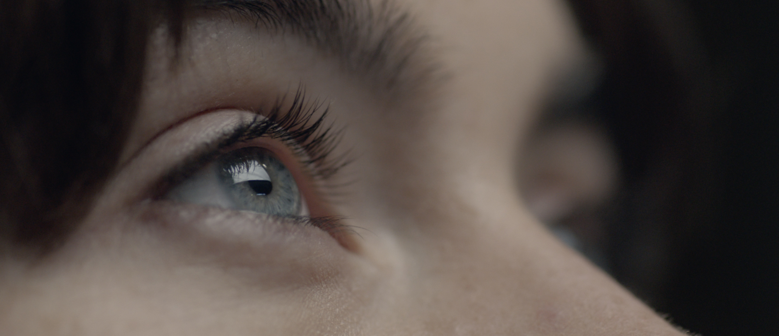 Matt Houghton - Filmmaker - Fabrik