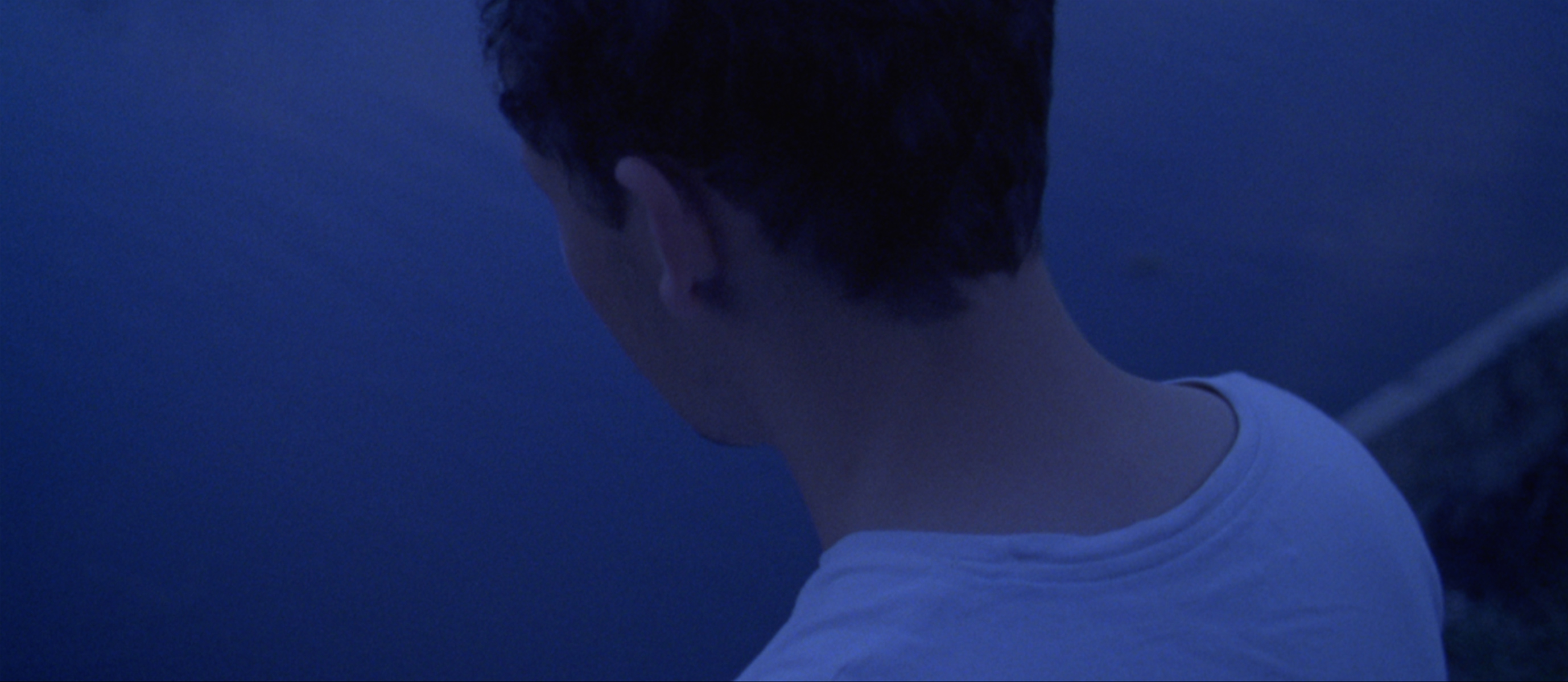 Matt Houghton - Filmmaker - Fabrik