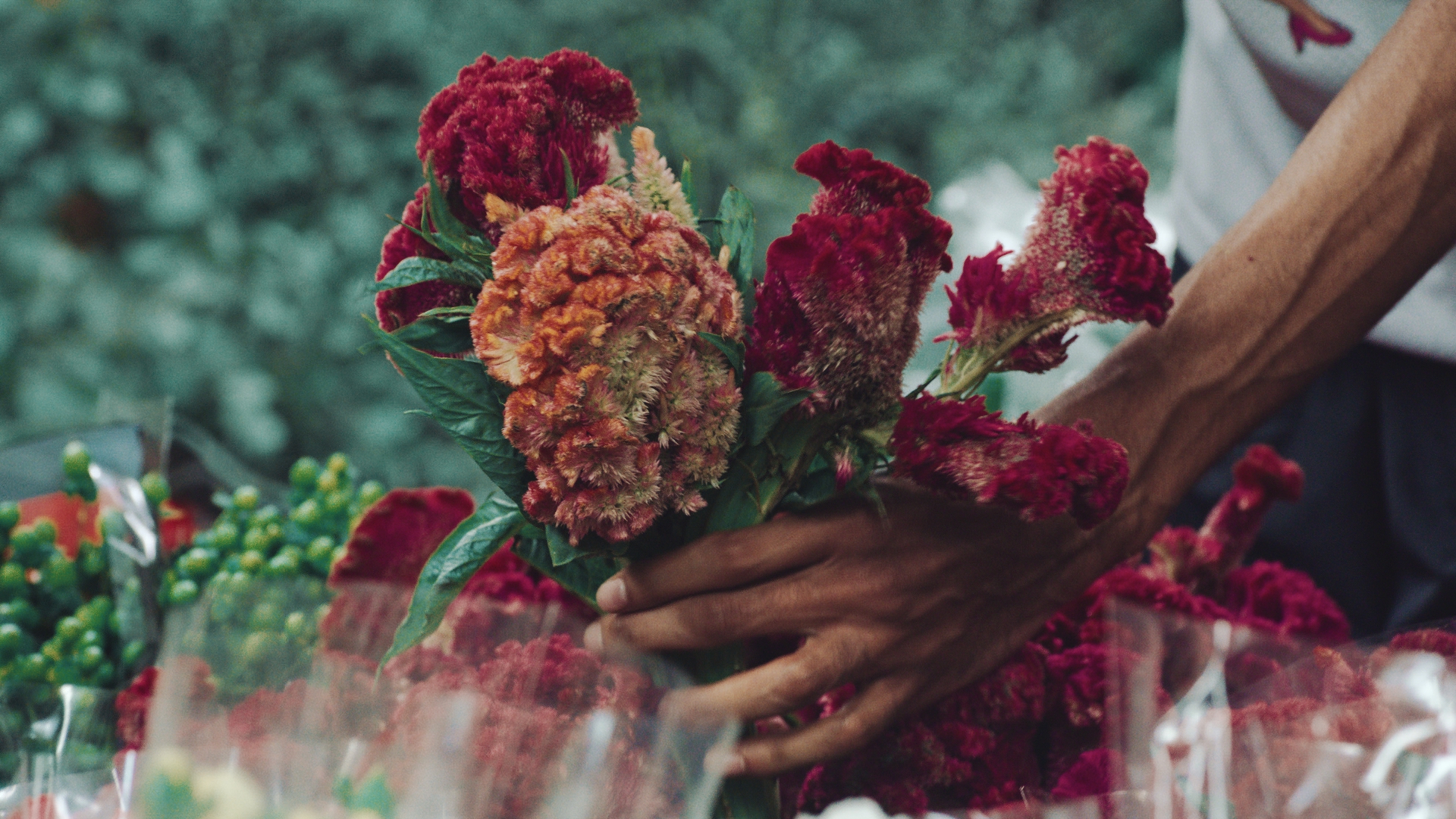 Benjamin Whatley - Director of Photography - Fabrik